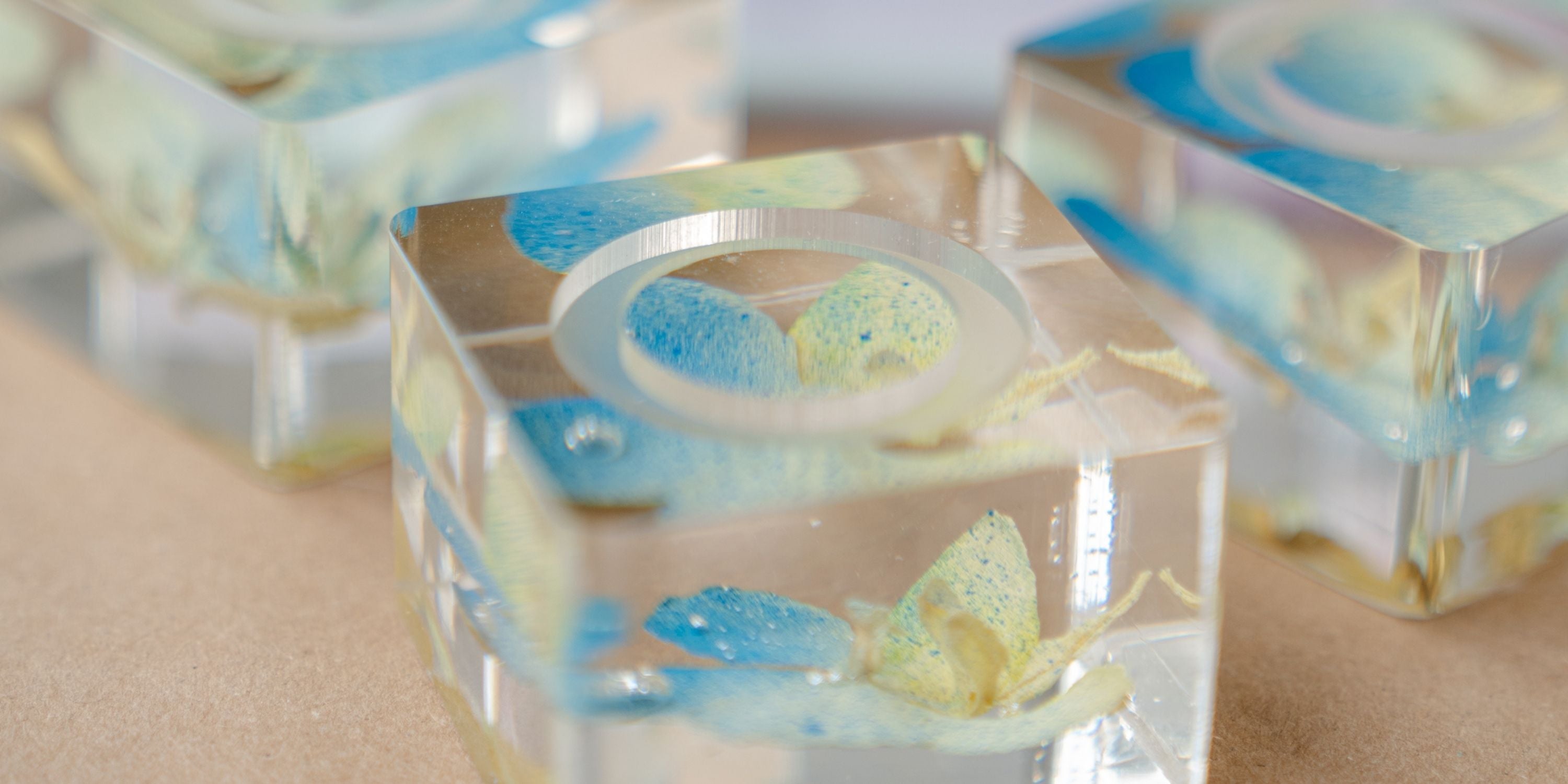 Cube Molds – Modern Mold